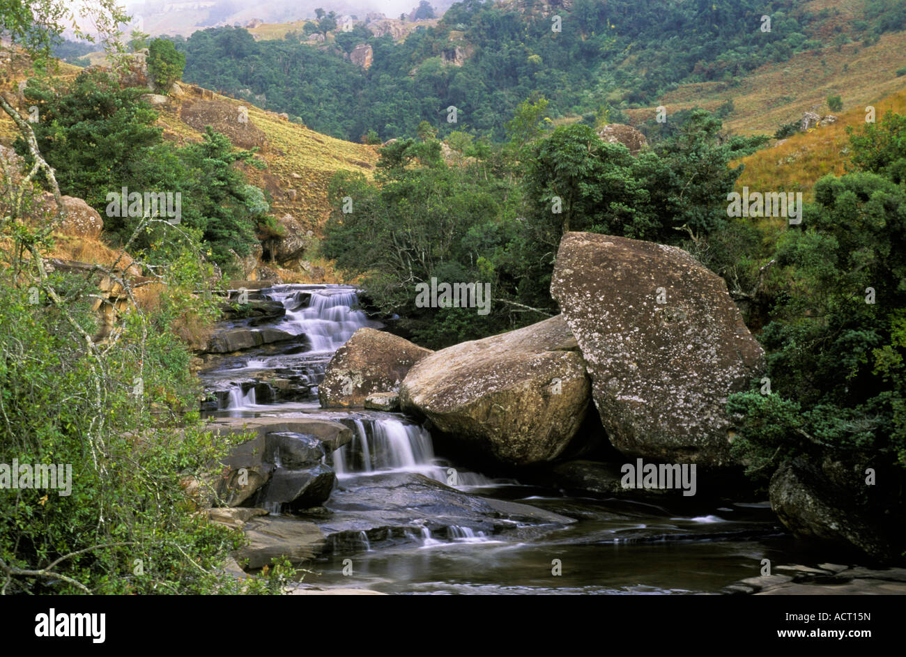 Mahai hi-res stock photography and images - Alamy