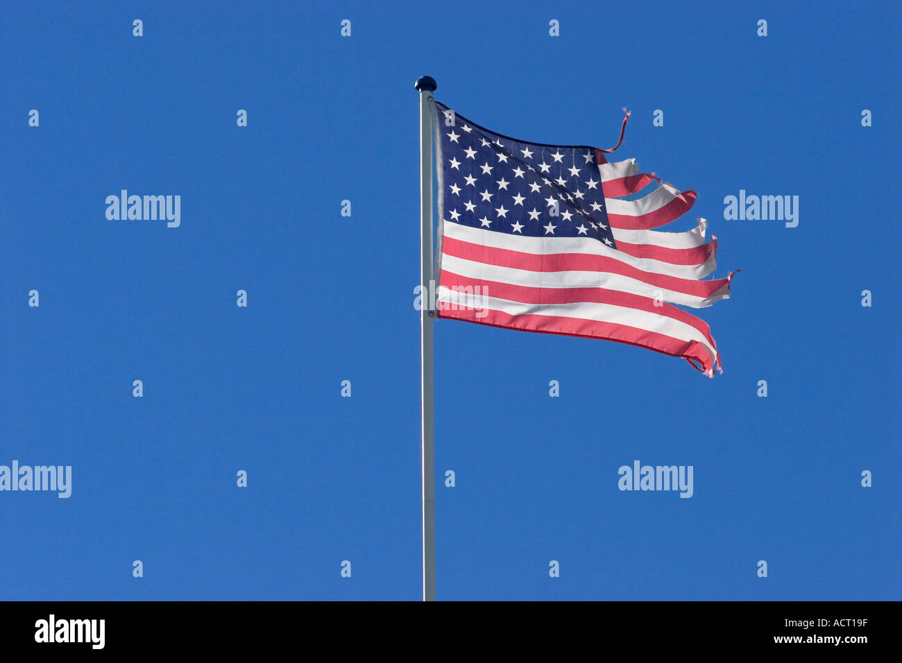 Ripped torn tattered american flag hi-res stock photography and images ...