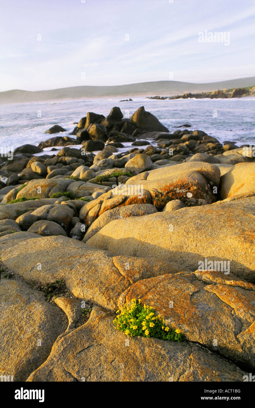 Postberg hi-res stock photography and images - Alamy