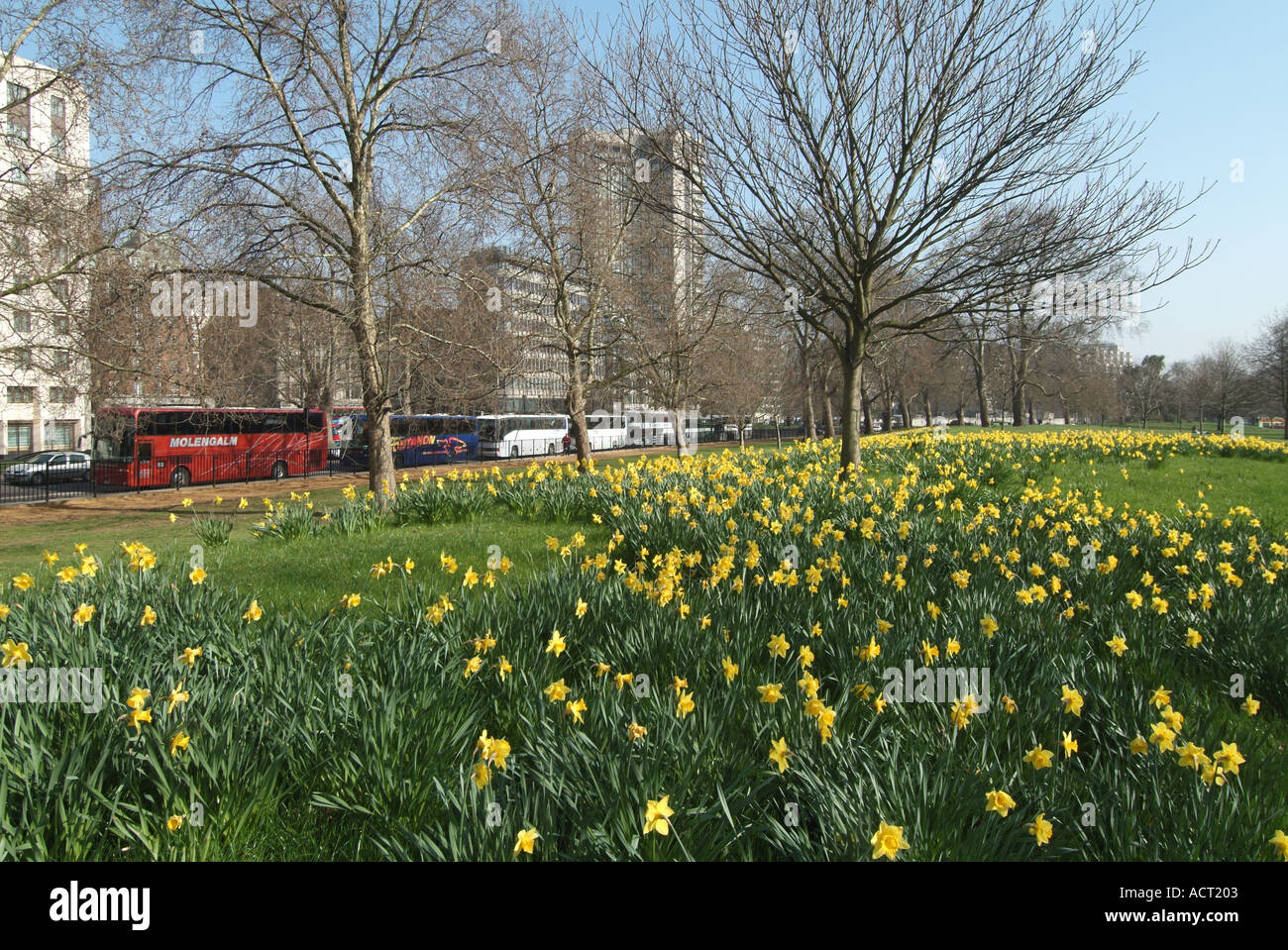Park Lane Hyde Park long line of continental tourist coaches parked ...