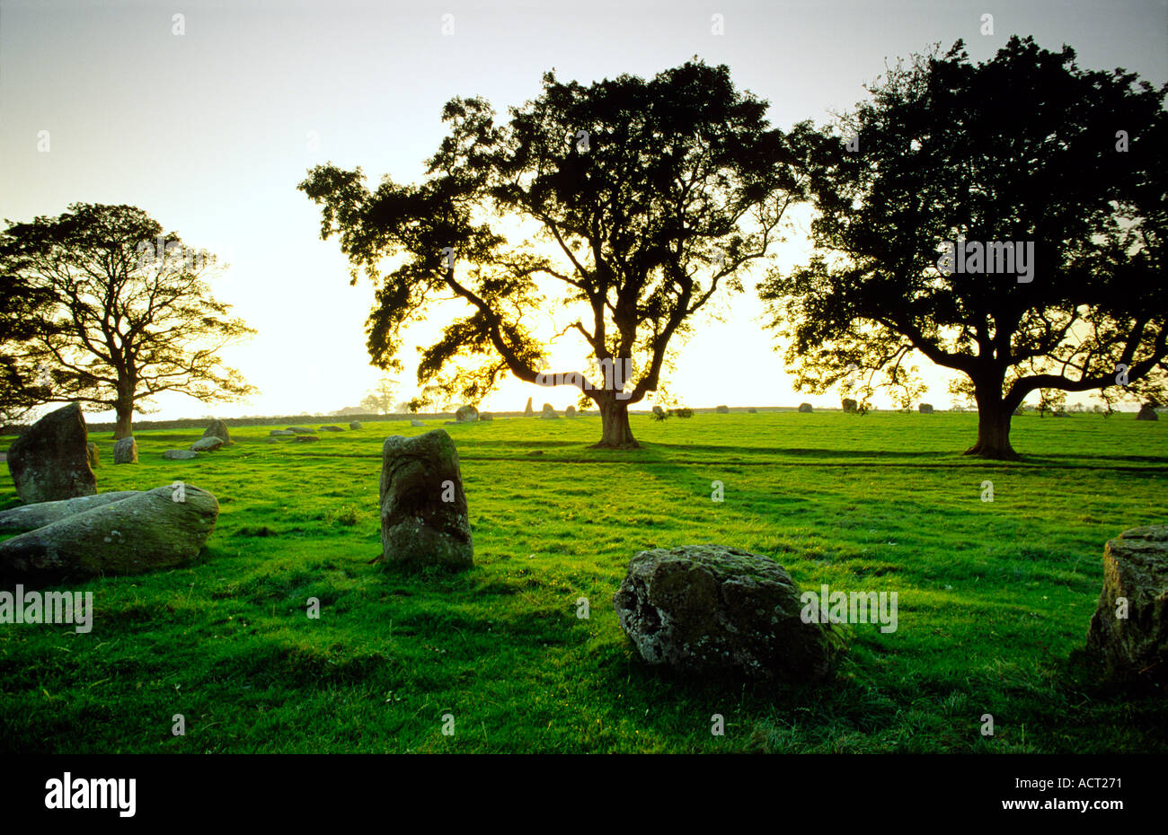 Prehistoric Neolithic megalithic standing stone circle known as Long ...