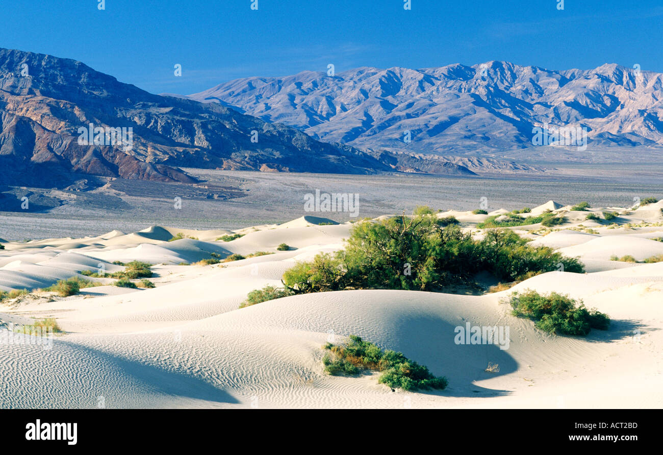 Death Valley, California, USA. Sand dune in arid desert parched eroded ...