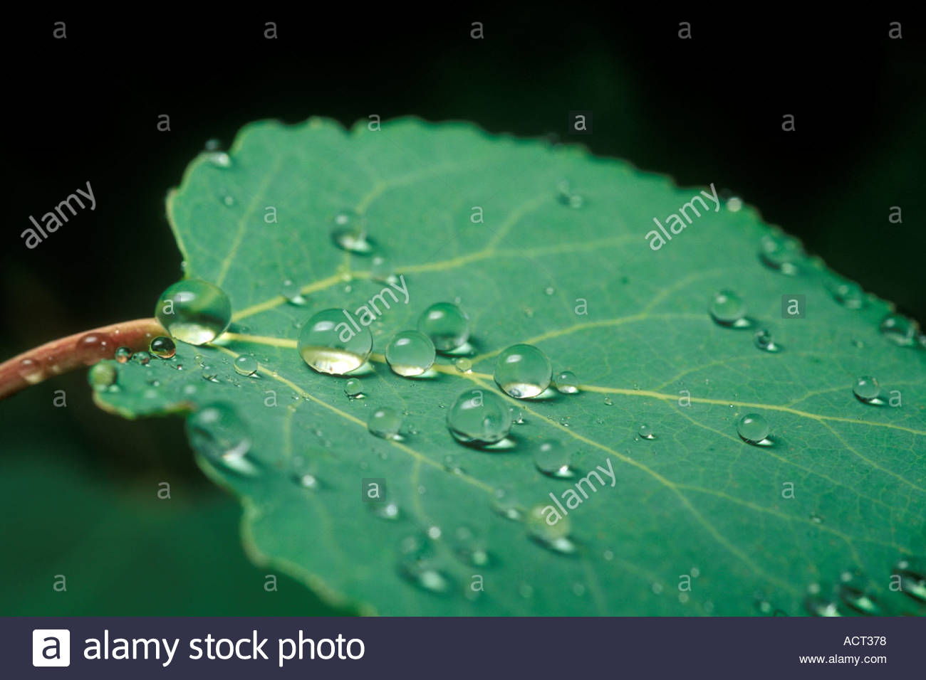 Spherical Structure High Resolution Stock Photography and Images - Alamy