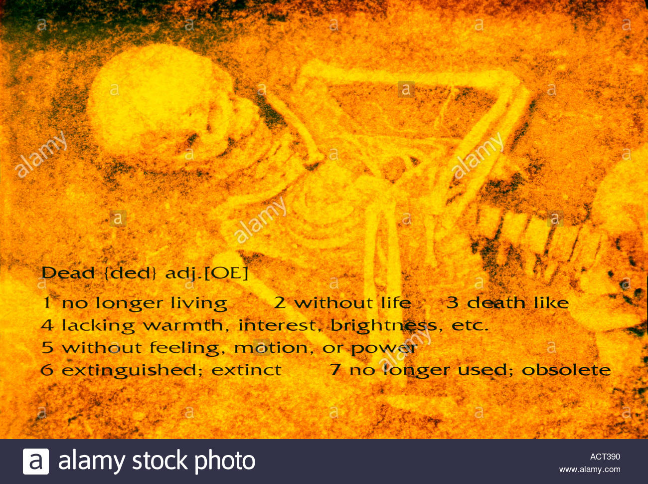 Grave Digging High Resolution Stock Photography and Images - Alamy