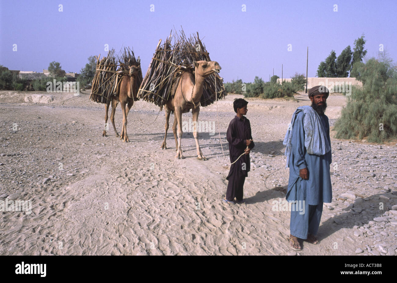 Baluchistan hi-res stock photography and images - Alamy