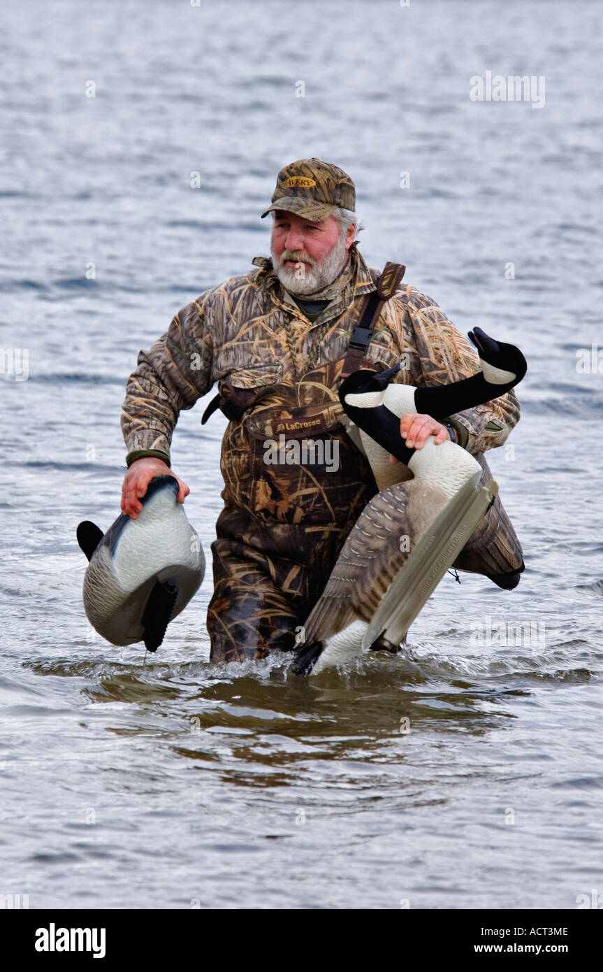 Hunter Gathering Canada Geese Decoys out of the Water after a ...