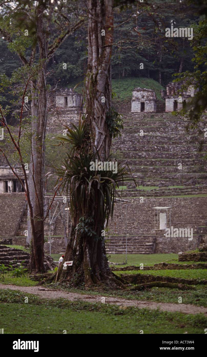 Gran Plaza with Acropolis in Bonampak Mexico Central America Stock ...