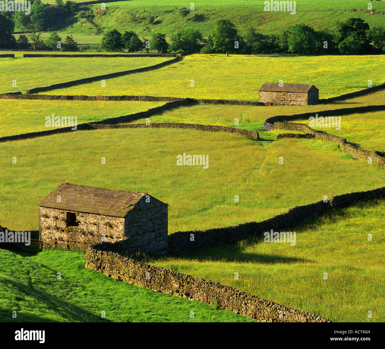 Stone Barns Near Gunnerside, Swaledale, Yorkshire Dales National Park ...