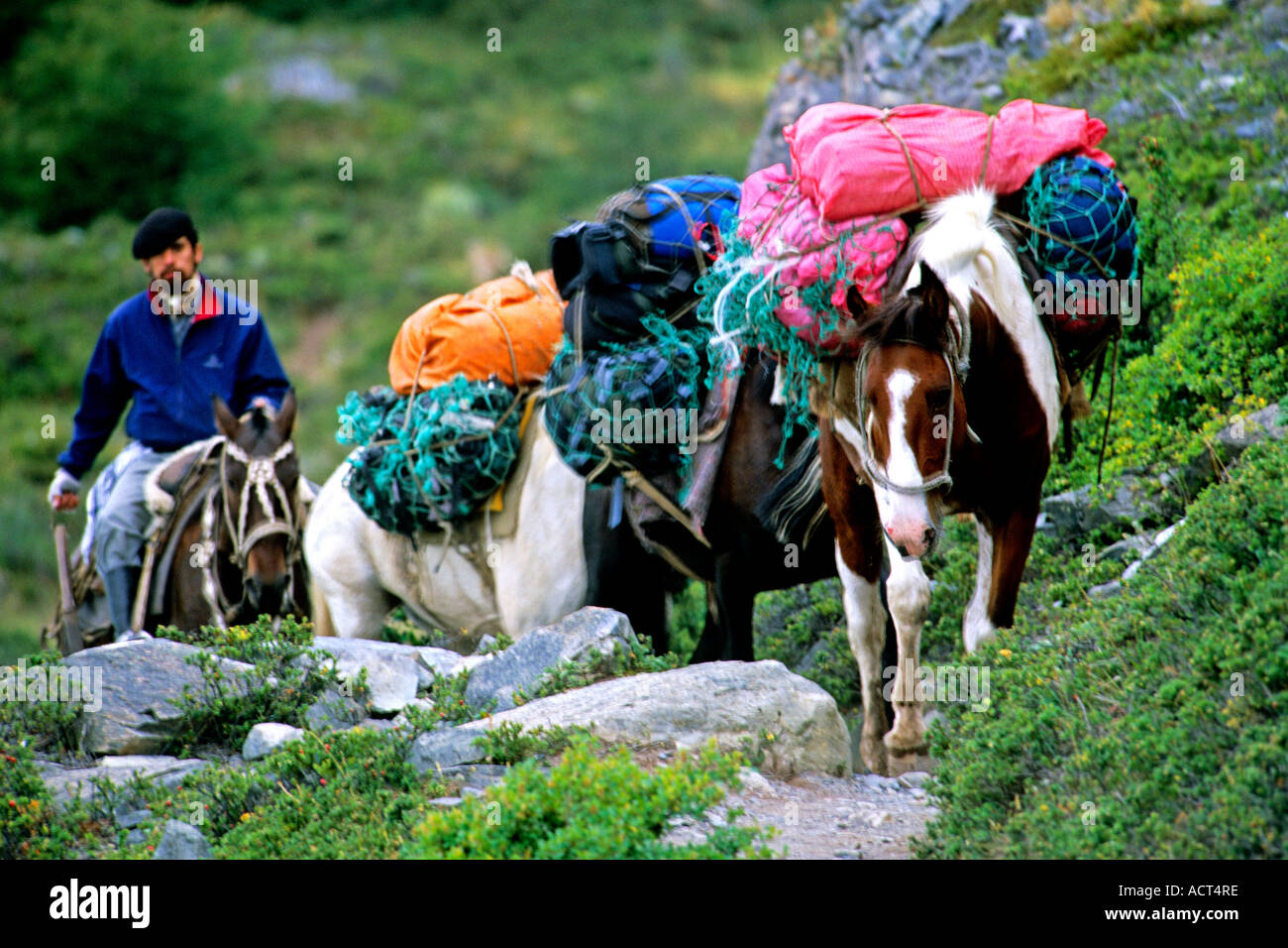 Gaucho chilean cowboy del paine hi-res stock photography and images - Alamy
