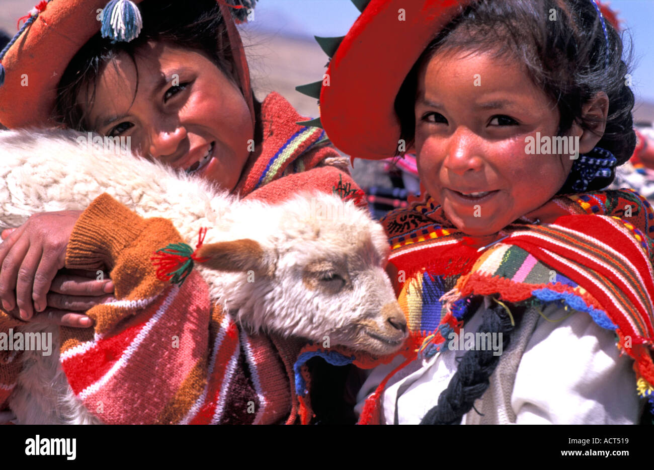 Quechua children in tribal costume with a lamb Near Chivay Colca Valley ...