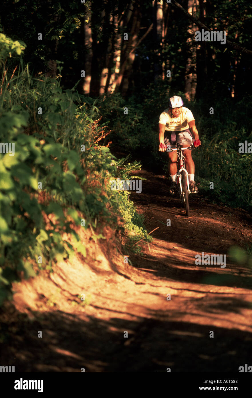 Mountain biker racing on trail Stock Photo - Alamy