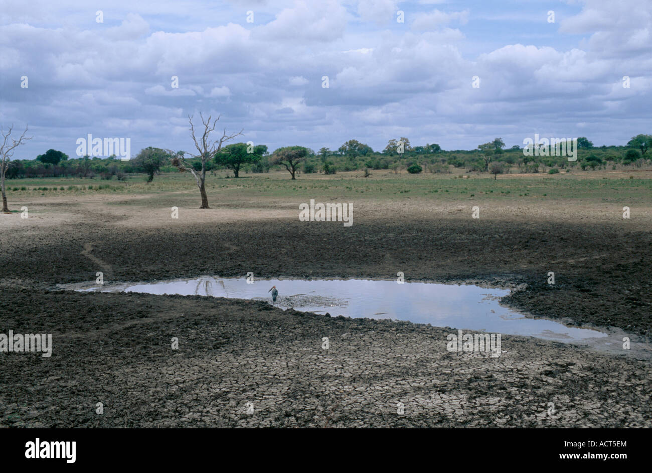 Squirming hi-res stock photography and images - Alamy