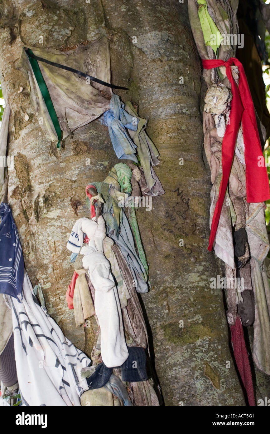 Sacred trees rags hi-res stock photography and images - Alamy
