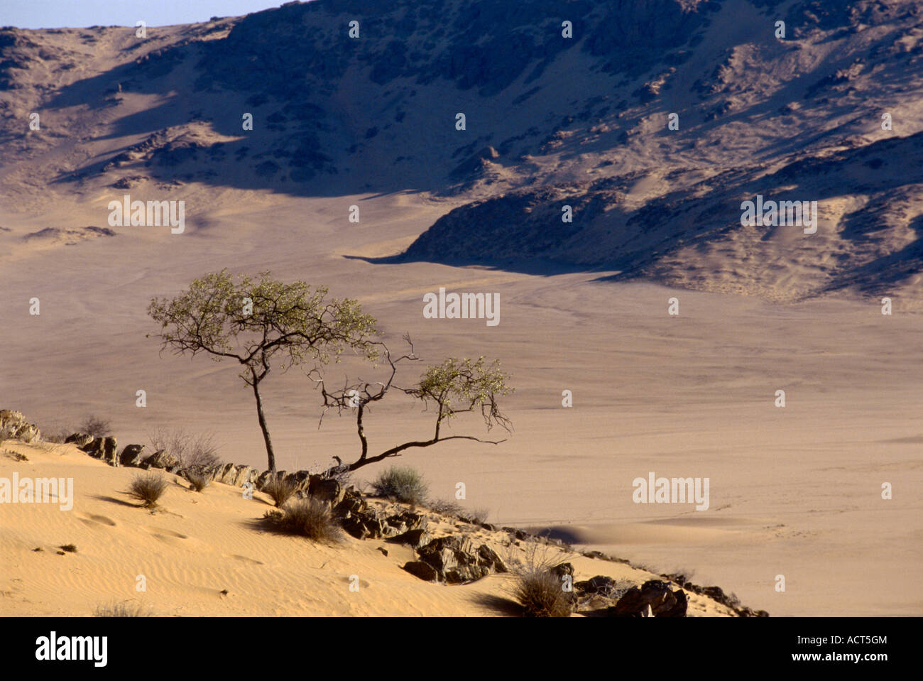 Framed african scenery hi-res stock photography and images - Alamy