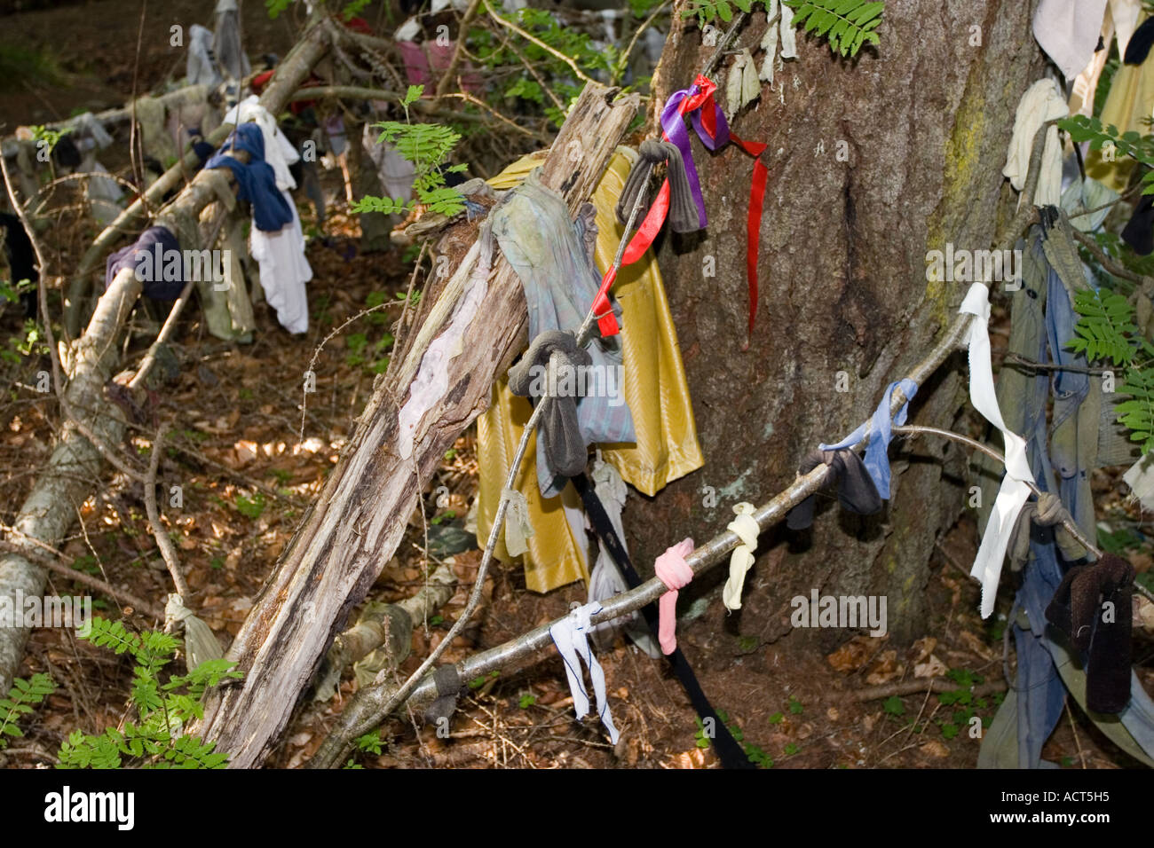 Hanging Rags, cloths & clothes on trees. Scottish folklore and ...