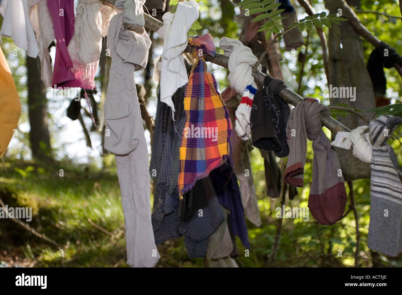 Hanging Rags, cloths & clothes on trees. Scottish folklore and ...