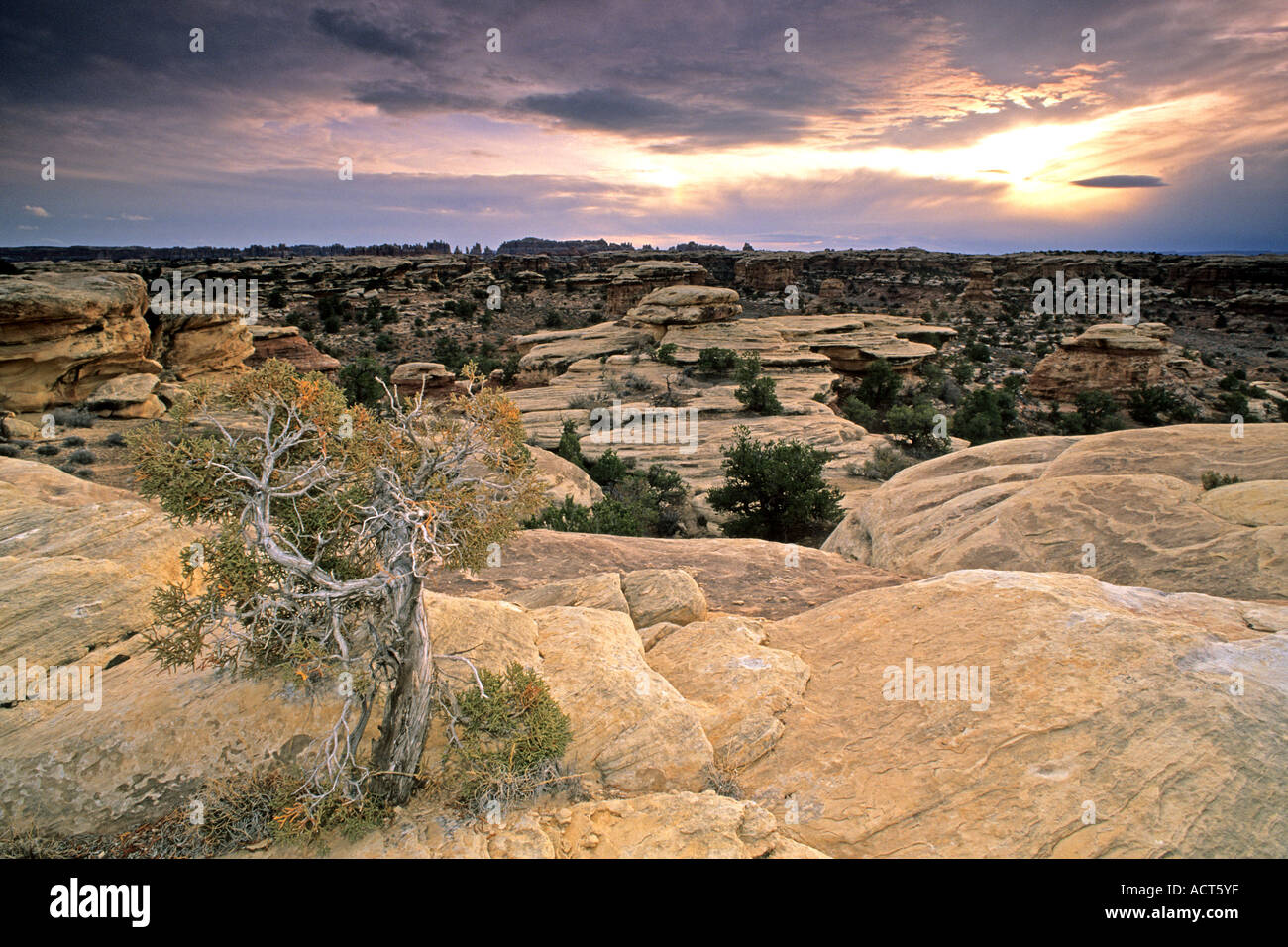 The maze canyonlands hi-res stock photography and images - Alamy
