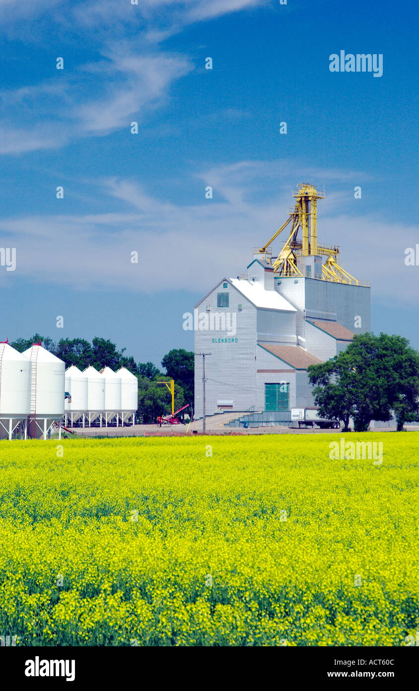 Grain elevator and canola field at Glenboro Manitoba Canada Stock Photo ...