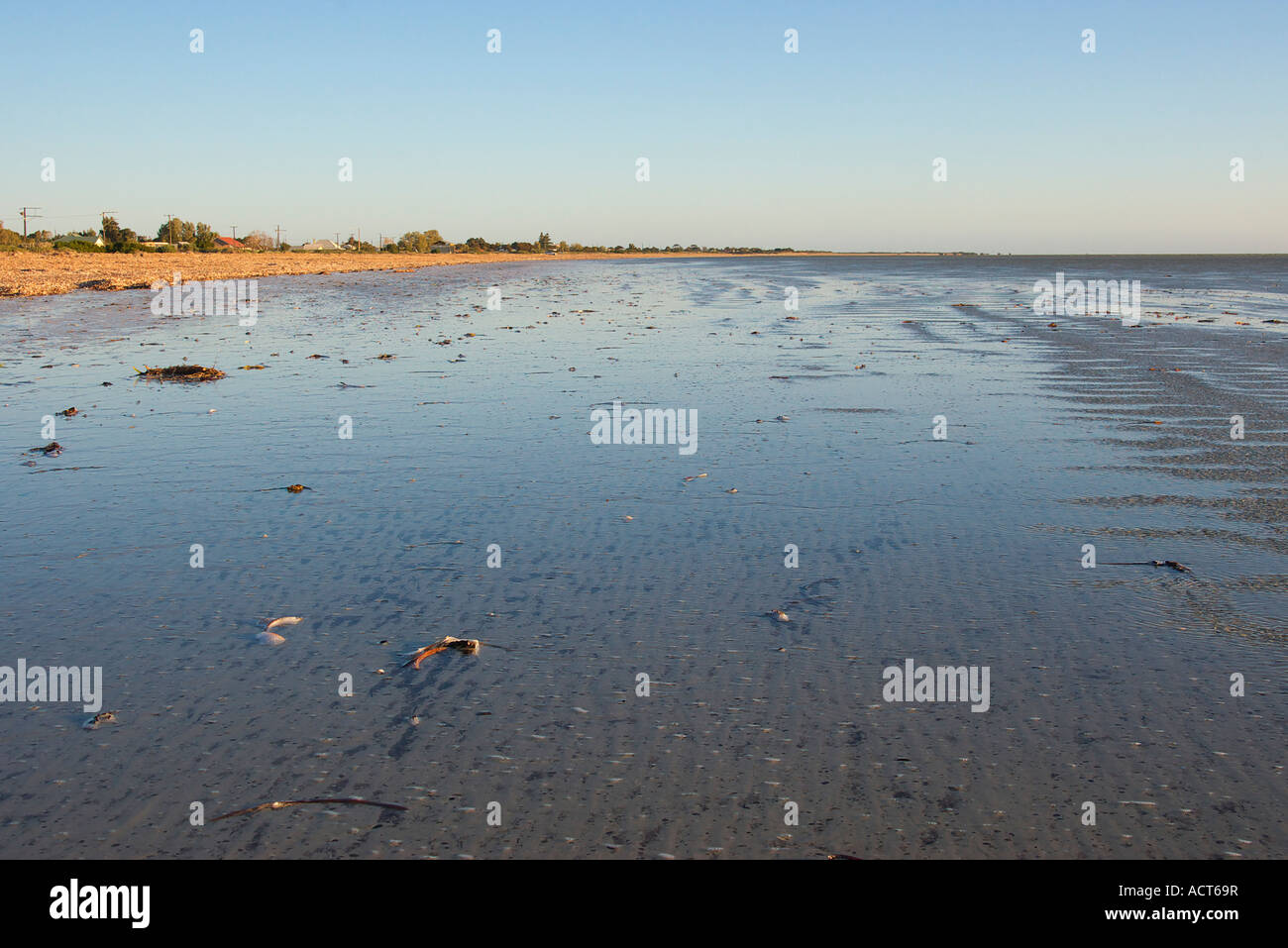 a nice large beach scene with the calm water on the shore Stock Photo ...