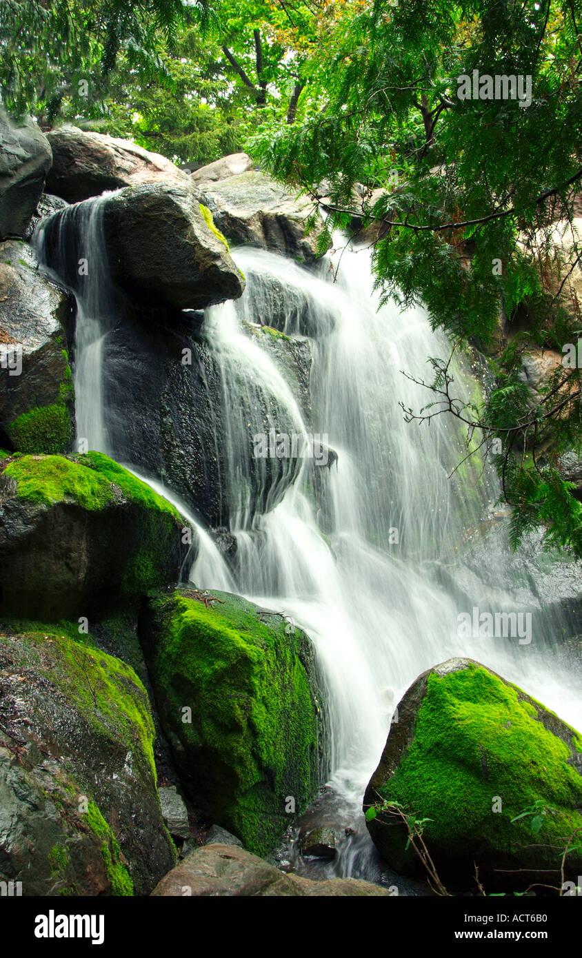Minnesota Landscape Arboretum in Chaska Minnesota USA Stock Photo - Alamy