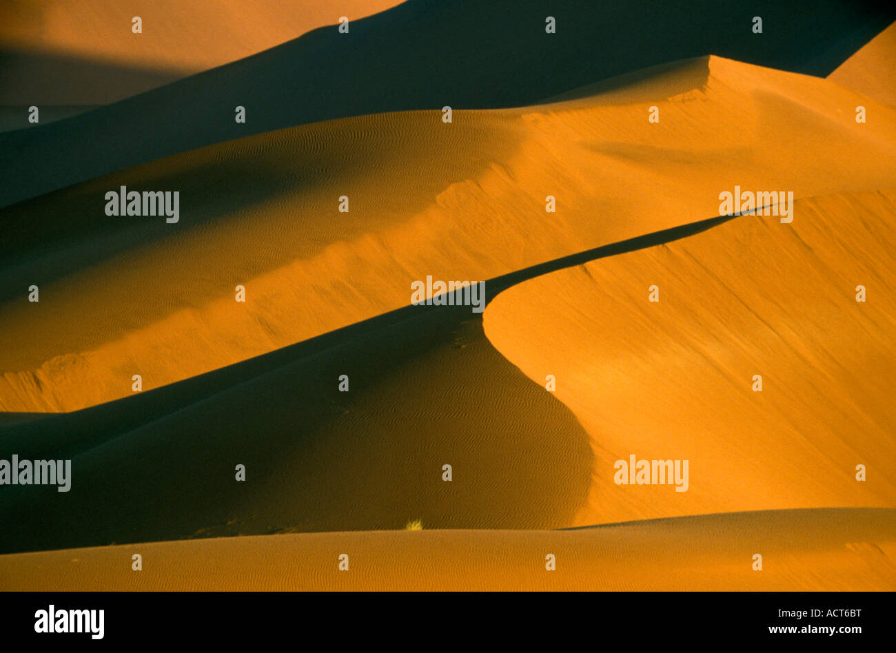 Desertscape with flowing dunes Sossusvlei Namibia Stock Photo - Alamy