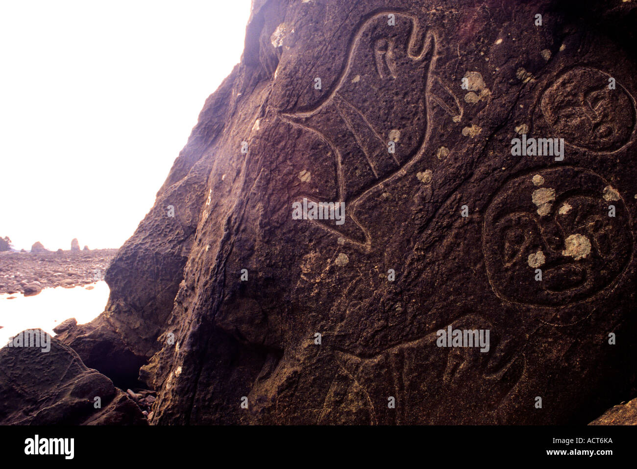 Makah Petroglyphs, Wedding Rocks, Olympic National Park, Washington ...