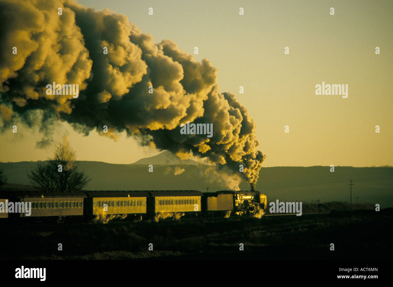 Side view of a moving steam train billowing smoke Bethlehem Free State ...