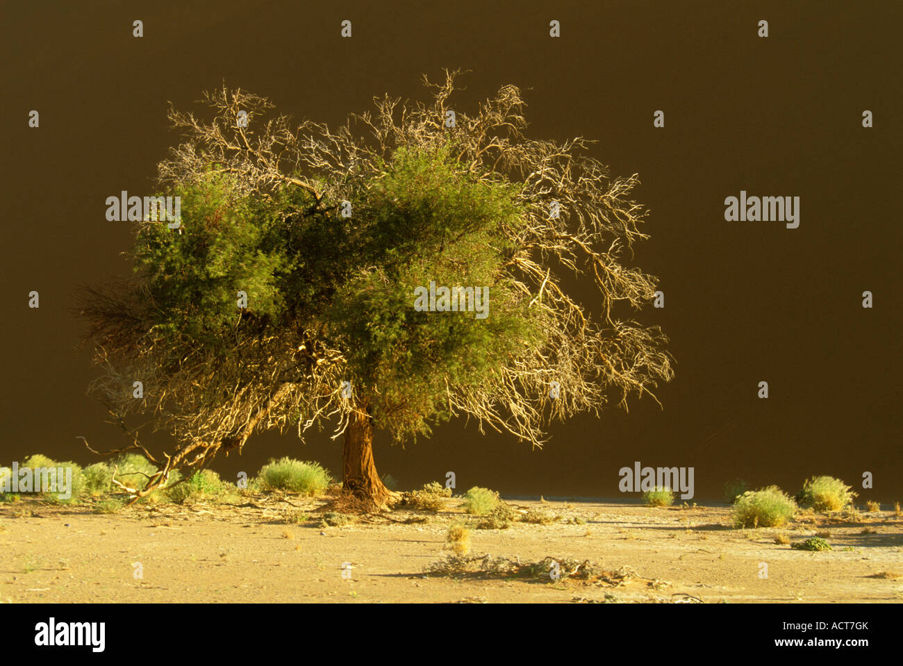 Perimeter hi-res stock photography and images - Alamy