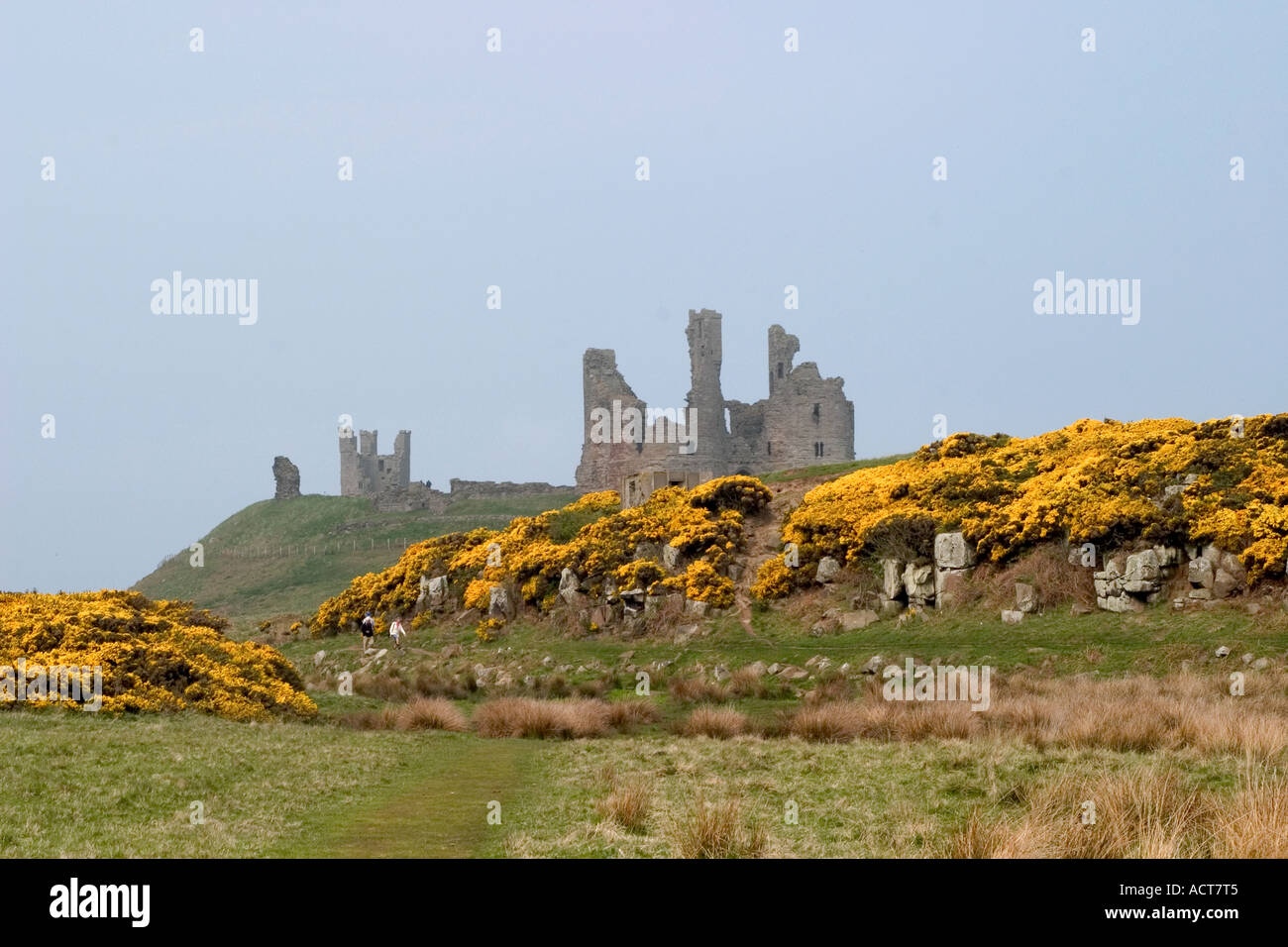 Distant dunstanburgh castle hi-res stock photography and images - Alamy