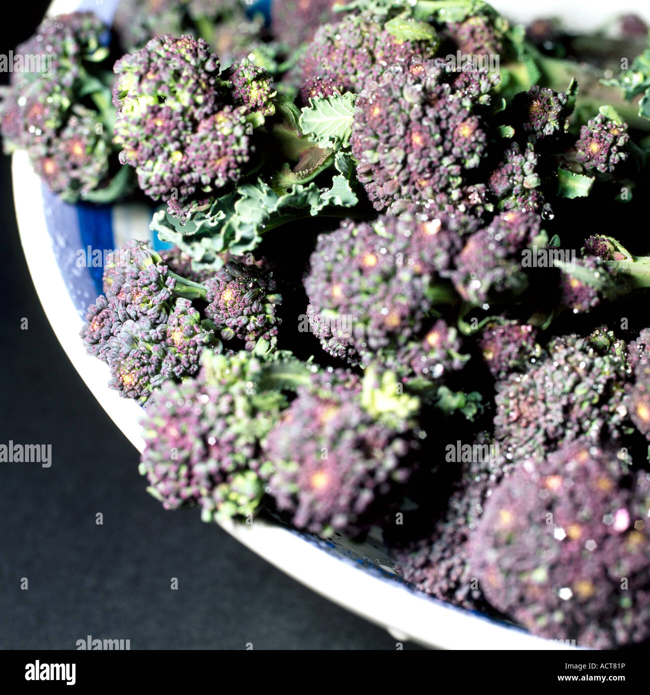 Purple Sprouting Broccoli Stock Photo - Alamy