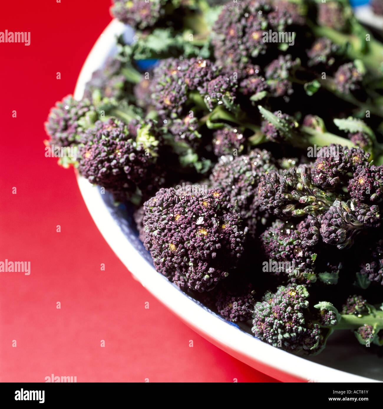 Broccoli fresh vegetable vegetables purple sprout sprouting healthy ...