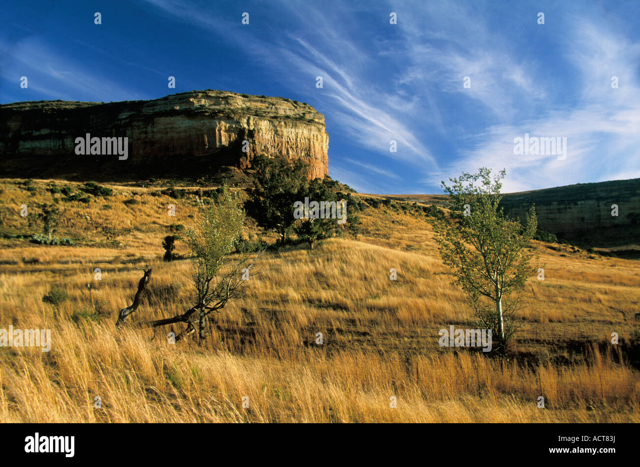 Landscape with sandstone monolith and dry highveld grass South Africa ...