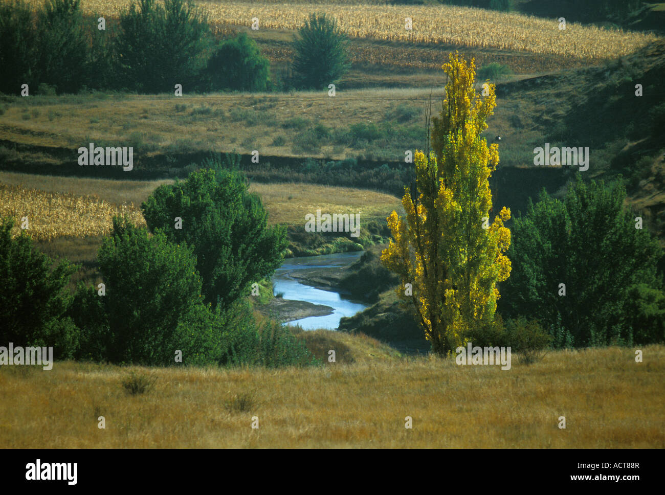 General landscape with water and mielie field in the distance Eastern ...