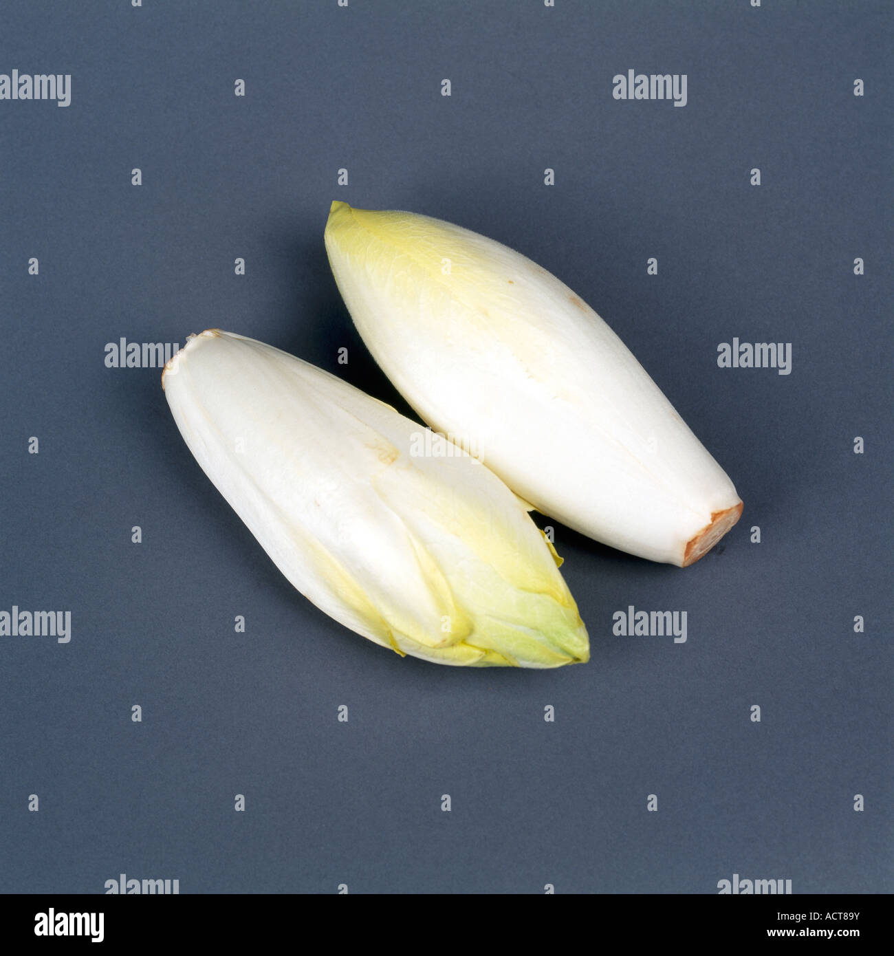 Chicorees hi-res stock photography and images - Alamy