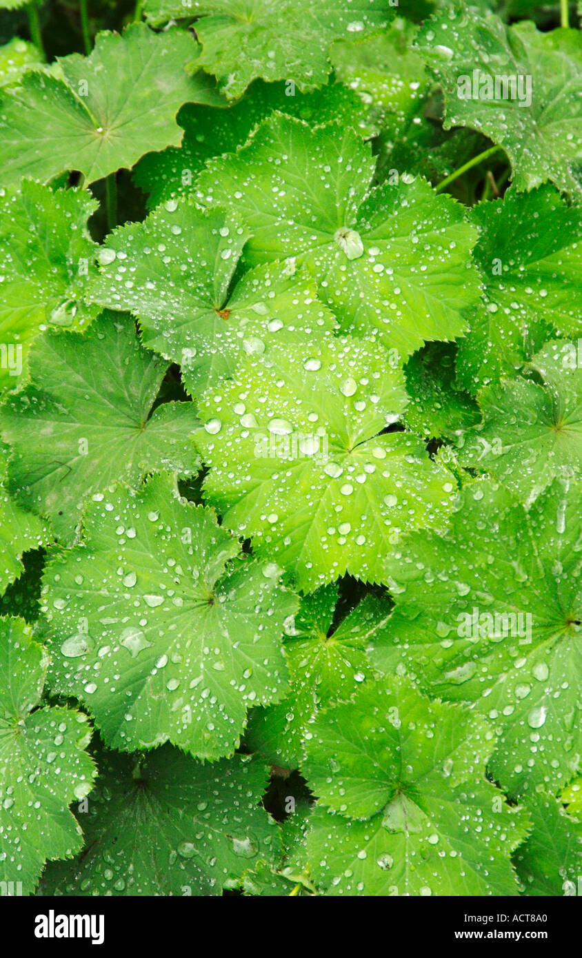 Kildonan park hi-res stock photography and images - Alamy