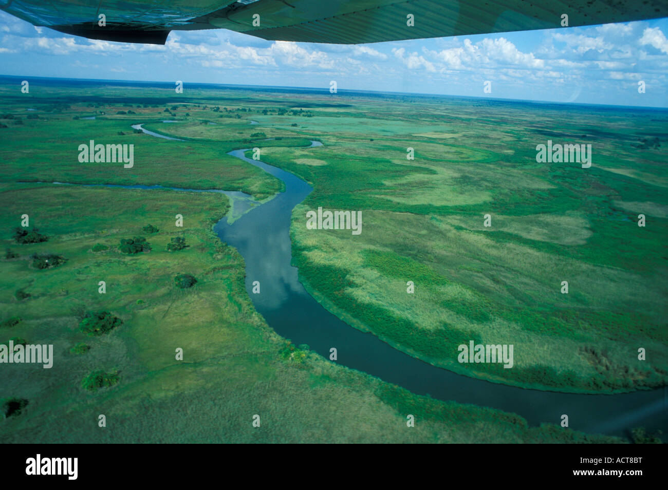 Aerial view of the Okavango River meandering through Papyrus swamps in ...