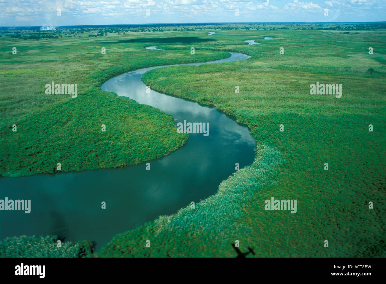 Aerial view of the Okavango River meandering through Papyrus swamps in ...