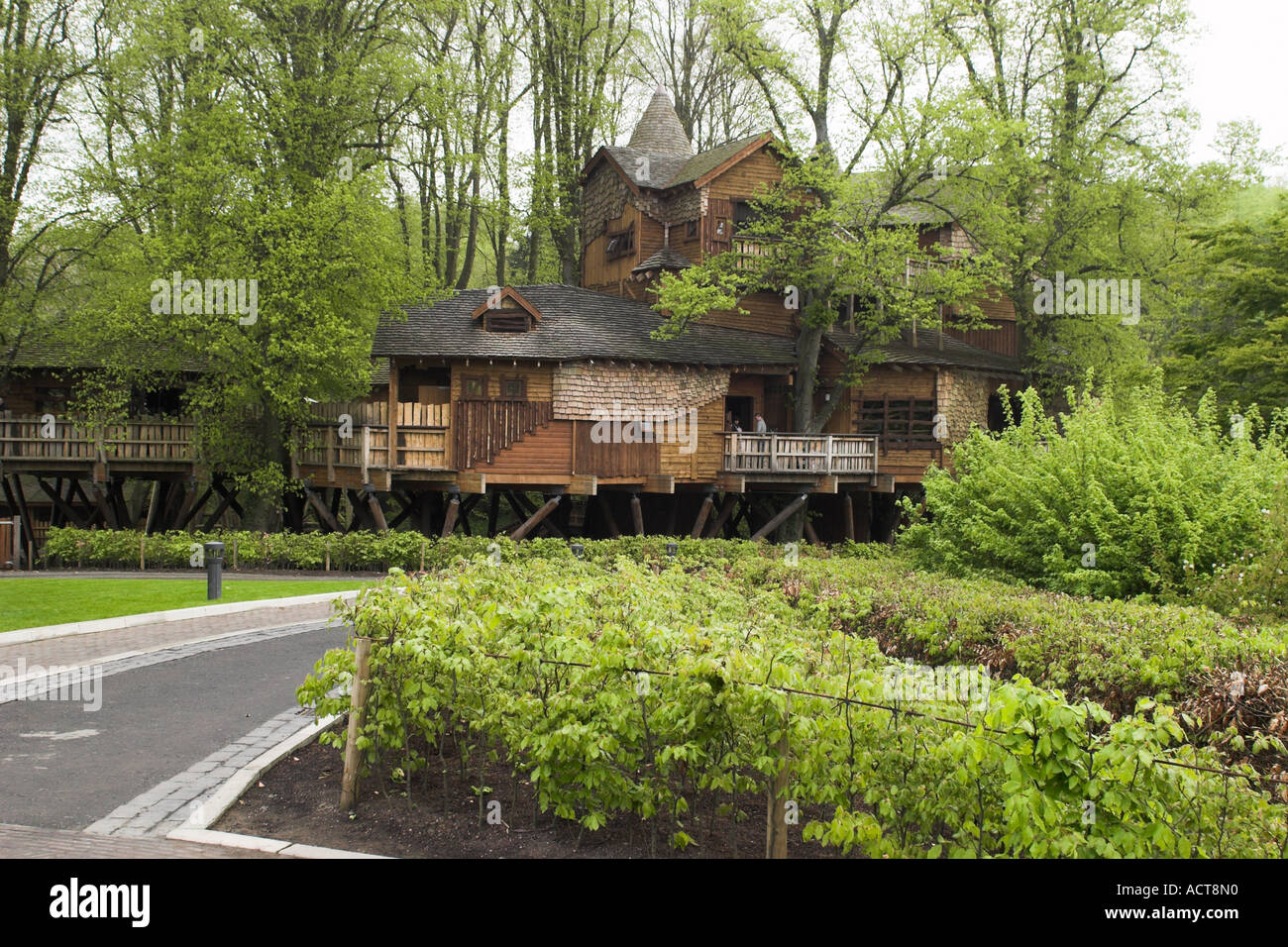 Tree house alnwick Stock Photo - Alamy