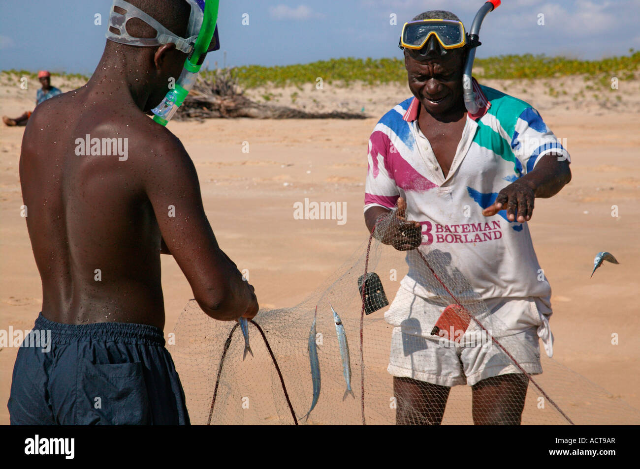 Fisherman removing a freshly caught half beak fish from their net Barra ...