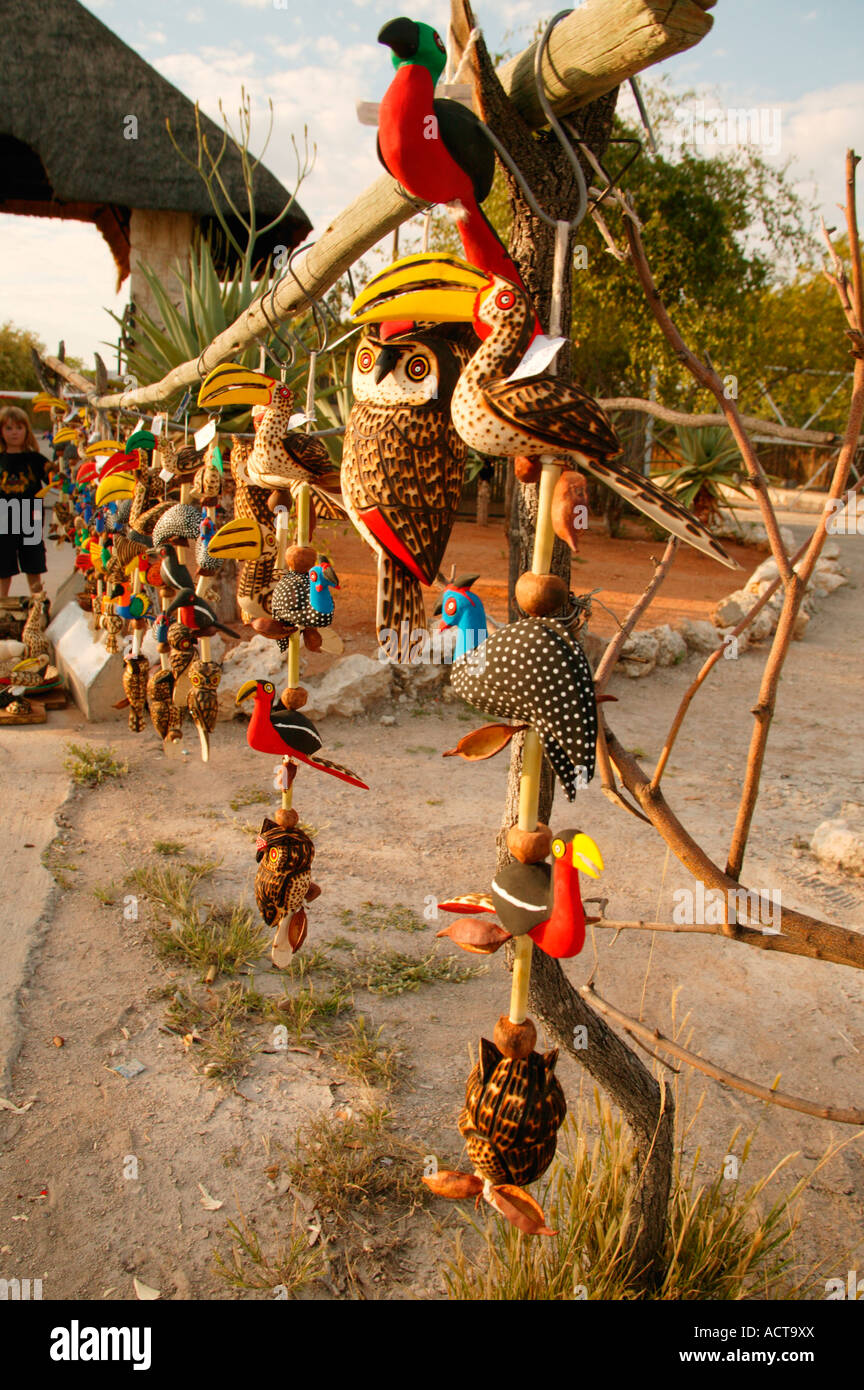 Curios birds hi-res stock photography and images - Alamy