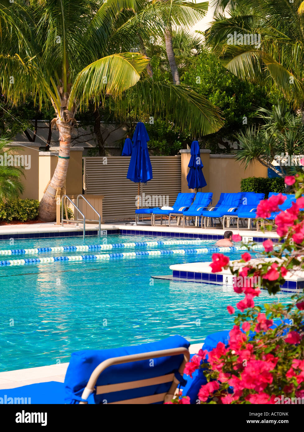 swimming pool Ritz Carlton Hotel, Naples Florida Stock Photo - Alamy