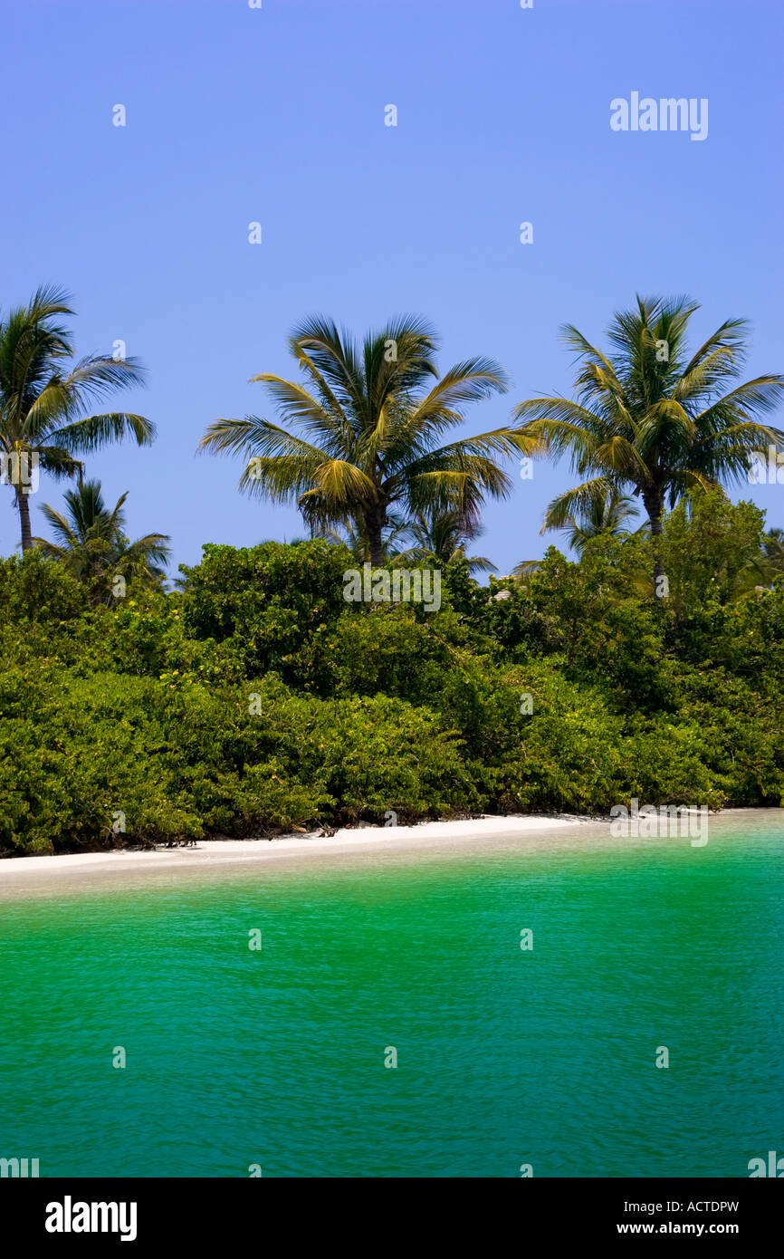 secluded tropical beach Stock Photo - Alamy