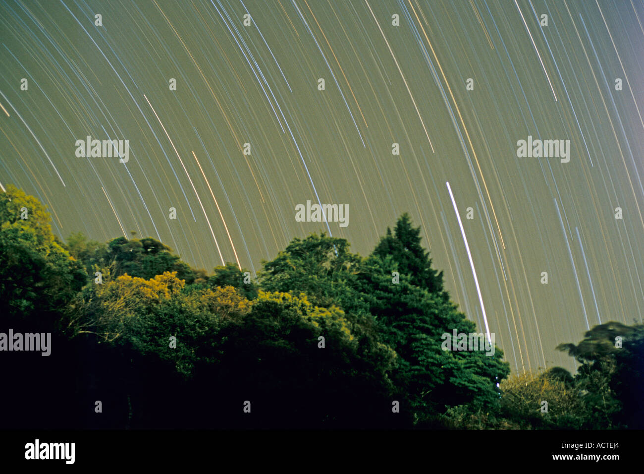 Stars in sky above Monteverde Cloud Forest, Costa Rica Stock Photo - Alamy