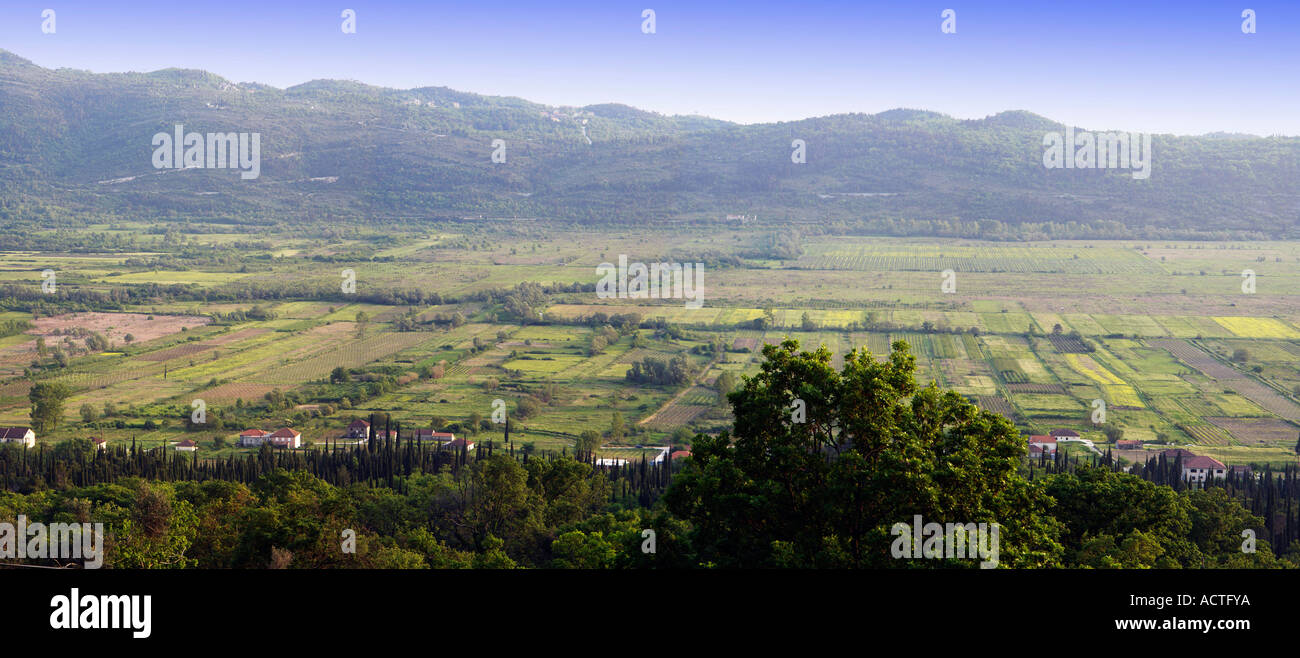 Panorama Agriculture farming in Konavle valley near Cavtat south of ...