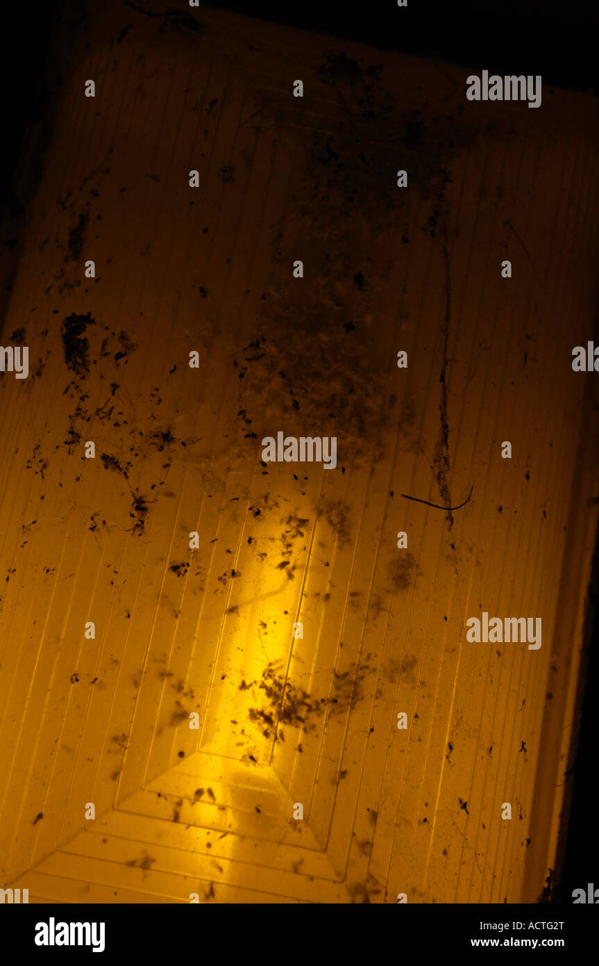 light illumination gritty negative night darkness dull incandescent ...