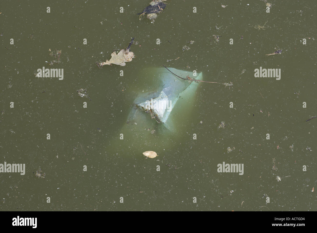 dirty stagnant polluted pond water Stock Photo - Alamy