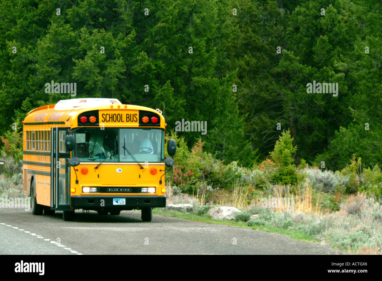 National school bus yellow hi-res stock photography and images - Alamy