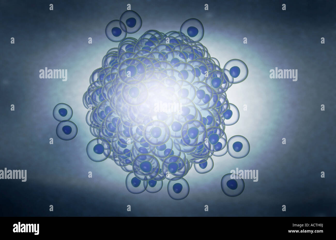 Cumulus cells hi-res stock photography and images - Alamy