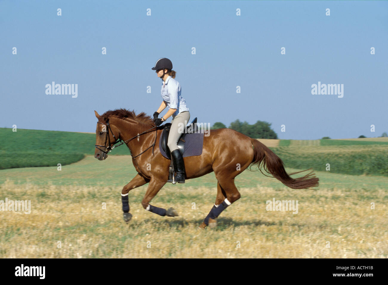 Frau und pferd hi-res stock photography and images - Alamy