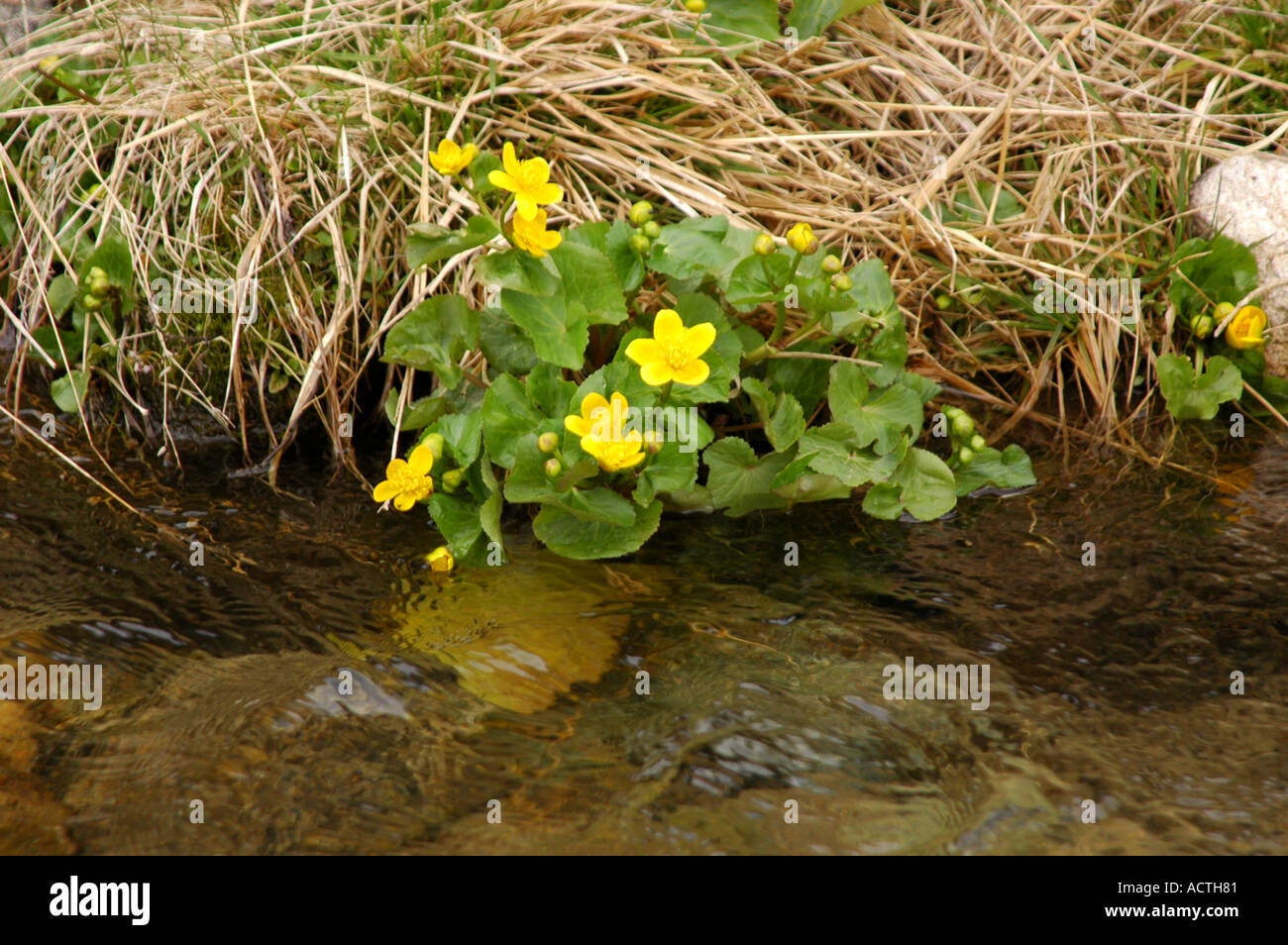 Steam bank hi-res stock photography and images - Alamy